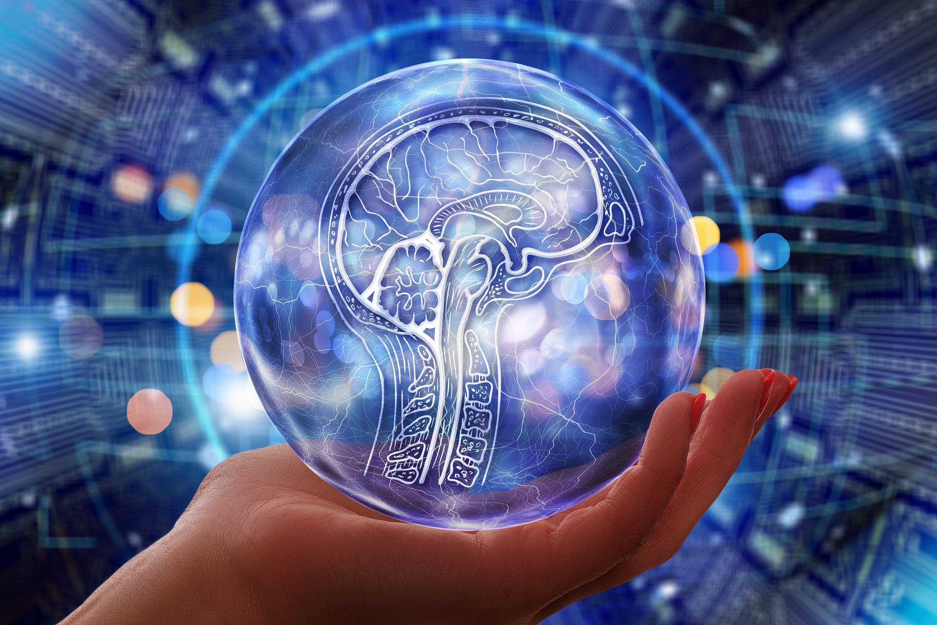 The Value of Human Beings in Artificial Intelligence - World Youth Alliance