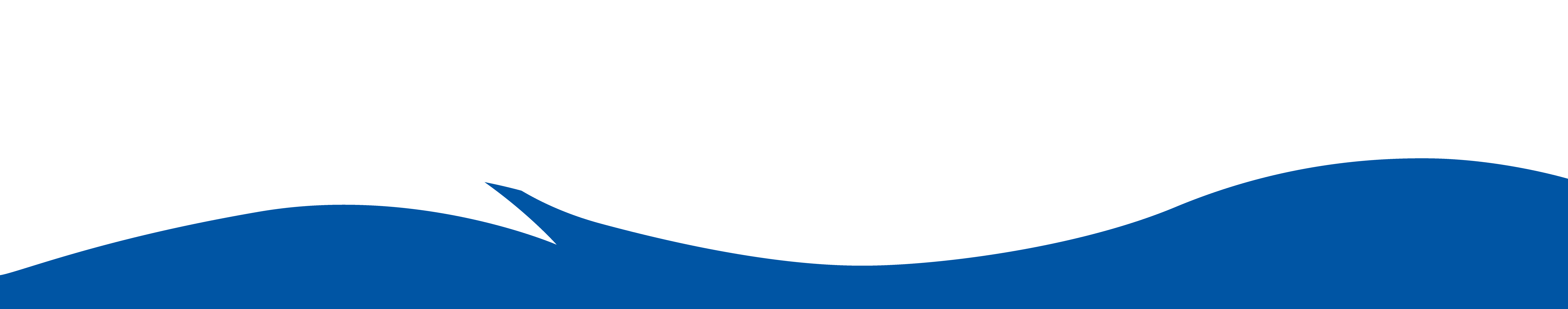 Complete History of the World Youth Alliance - World Youth Alliance